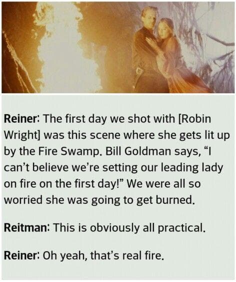 Fans Are Sharing Their 'Princess Bride' Observations That Make Us Want ...