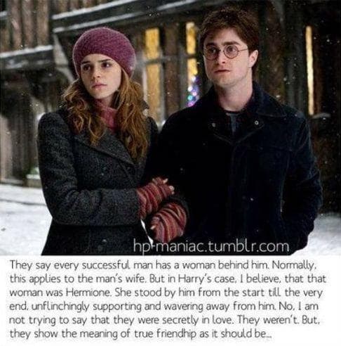 Fans Are Sharing Observations About Hermione That Prove She's More Than ...