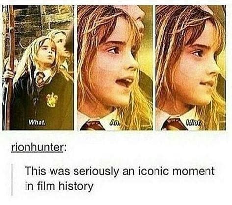 Fans Are Sharing Observations About Hermione That Prove She's More Than ...