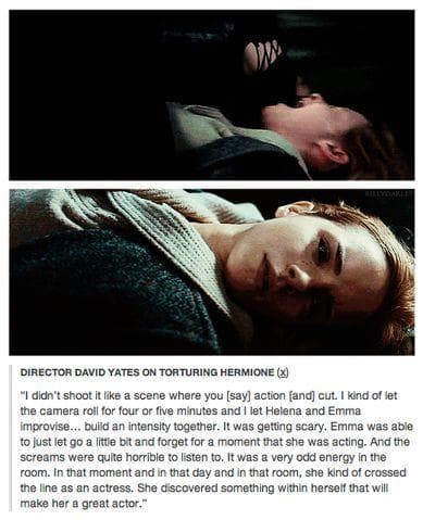 Fans Are Sharing Observations About Hermione That Prove She's More Than ...