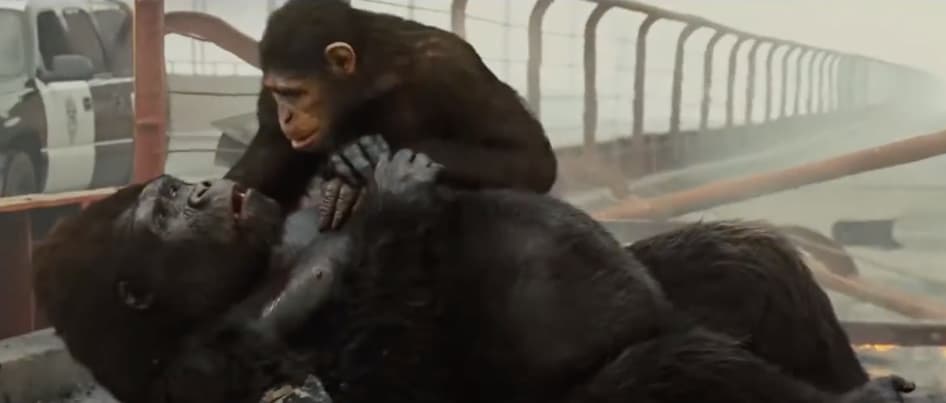 14 Gut-Wrenching Moments Where Sidekicks Sacrifice Themselves For Their ...