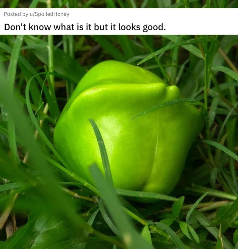 People Ask For Help Identifying Strange, Suspicious Objects, And The ...