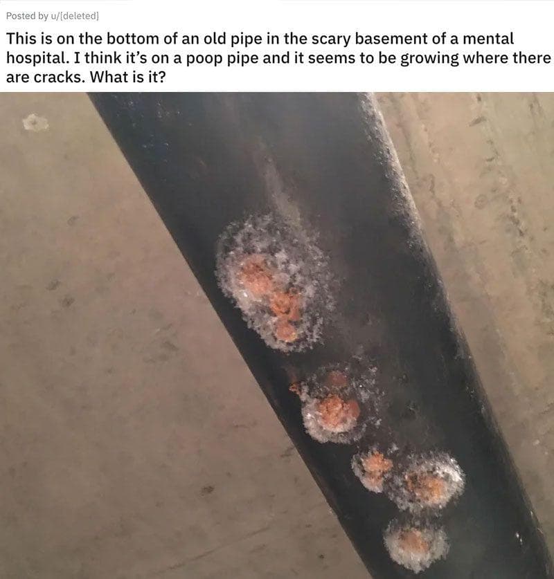 People Ask For Help Identifying Strange, Suspicious Objects, And The ...