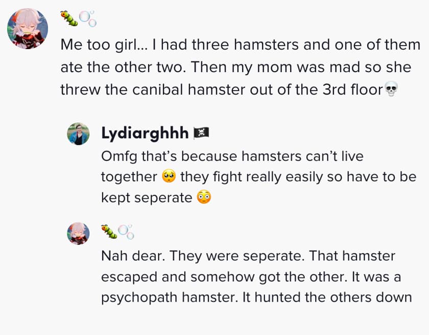 24 Times Pet Hamsters Lost Their Fuzzy Little Lives In The Most ...