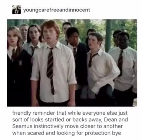 Fans Are Sharing Observations About The Minor Characters In 'Harry ...