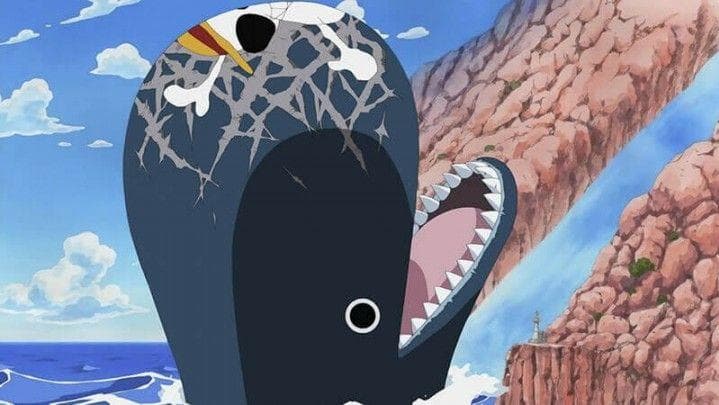 The 11th Straw Hat Member: Here's The Character Fans Most Want To See ...