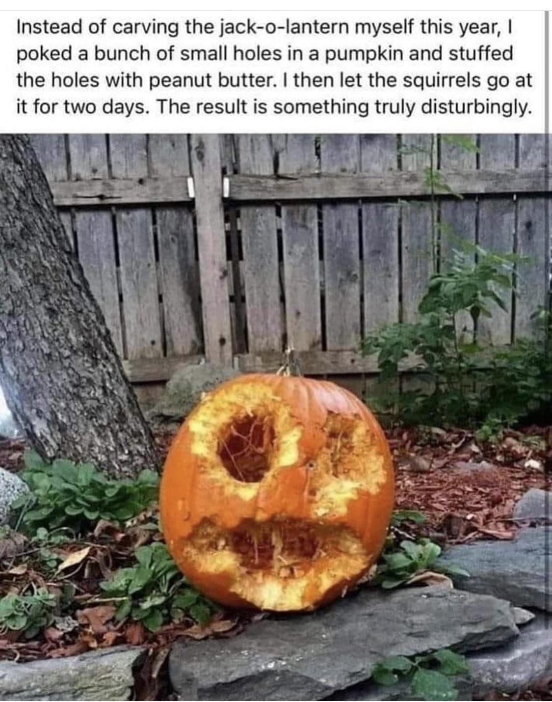 19 Weirdly Frightening Images That Made It Hard To Sleep This Week (Page 4)