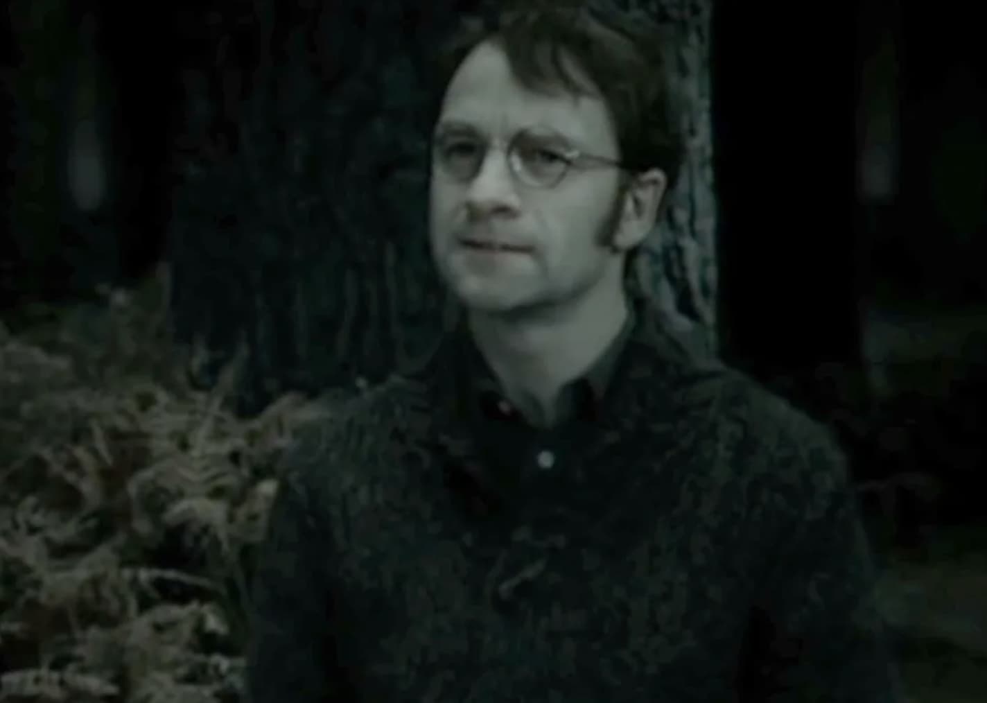 'Harry Potter' Fans Reveal Interesting Theories About The Parents