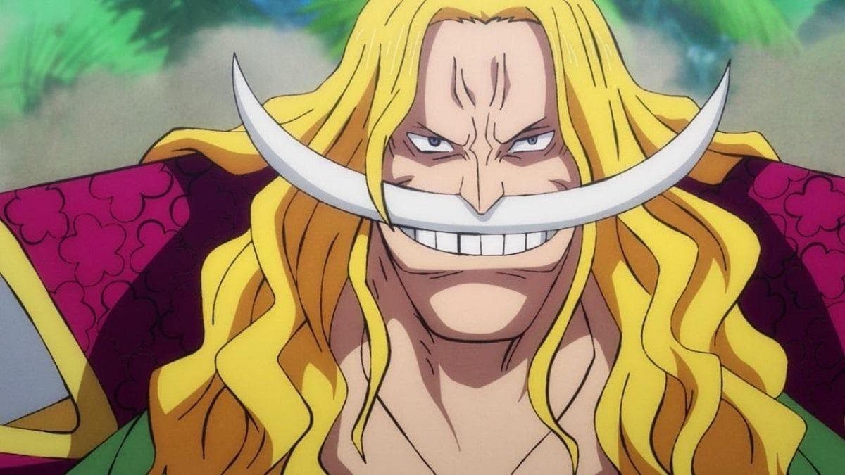 16 Hilariously Unhinged Moments From The ‘One Piece’ SBS Column