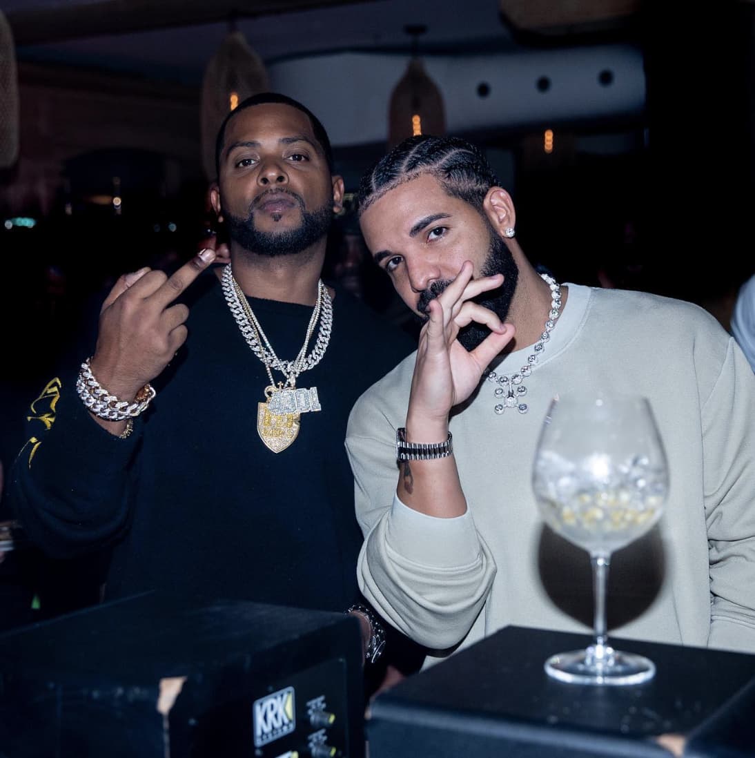 20 of Drake's Best Friends