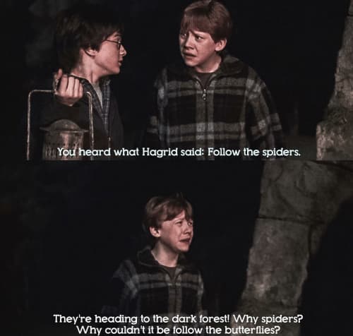 The Most Selfless Acts In The Harry Potter Series
