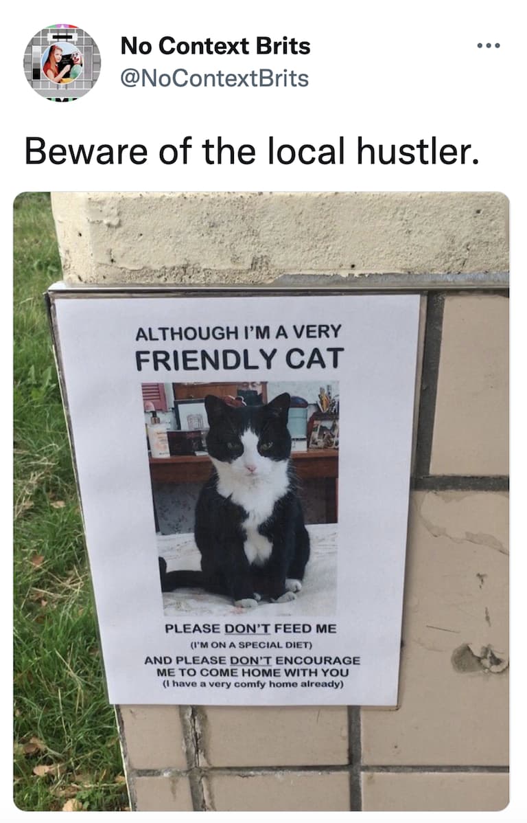 24 British Signs That Are Way Funnier Than They Needed To Be