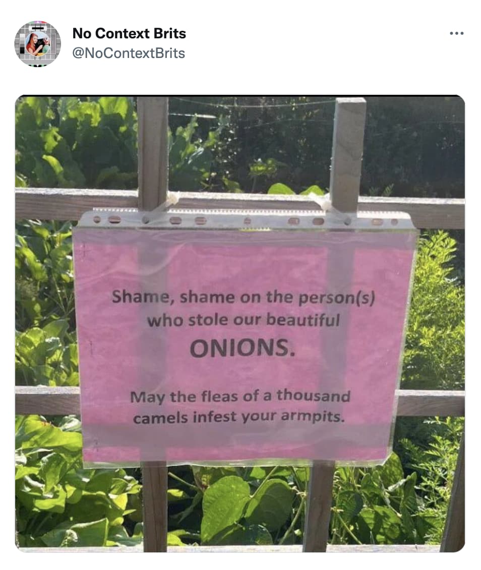 24 British Signs That Are Way Funnier Than They Needed To Be