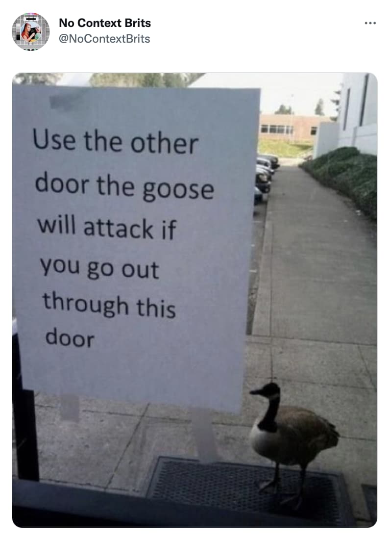 24 British Signs That Are Way Funnier Than They Needed To Be