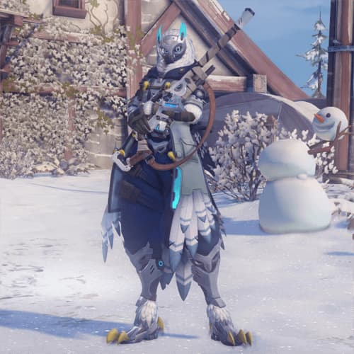 The Best Ana Skins In The 'Overwatch' Series, Ranked