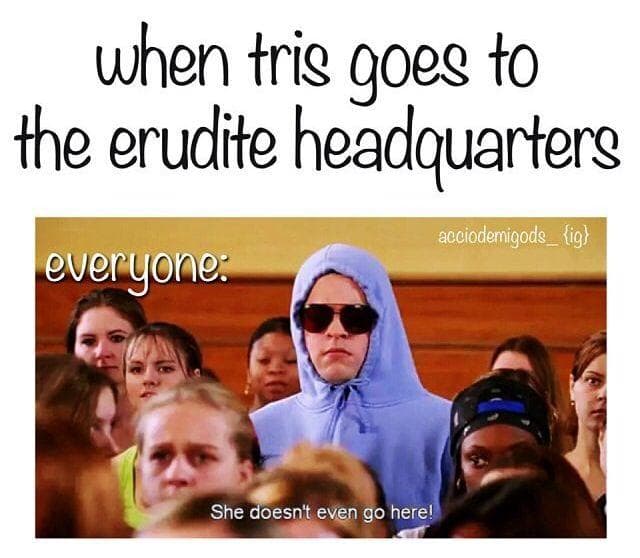 33 ‘Divergent’ Memes For Dauntless Fans That Still Love The Popular YA ...