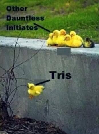 33 ‘Divergent’ Memes For Dauntless Fans That Still Love The Popular YA ...