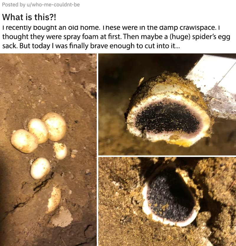 People Are Asking For Help Identifying Weird Objects They Found, And ...