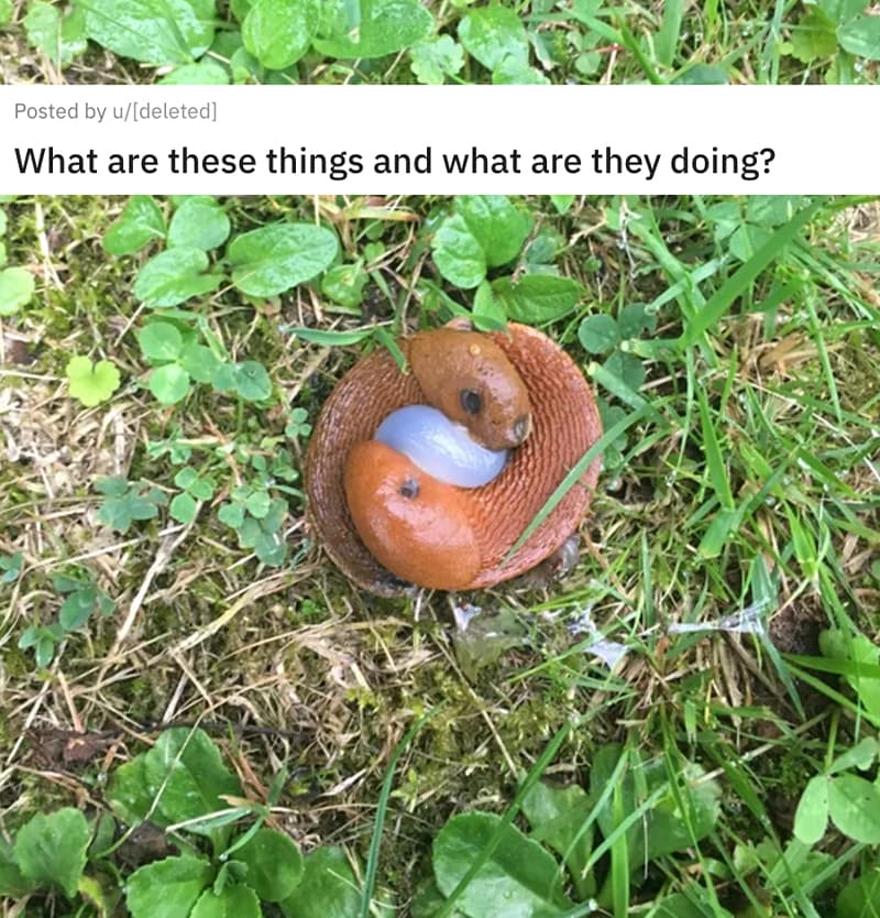 People Are Asking For Help Identifying Weird Objects They Found, And ...