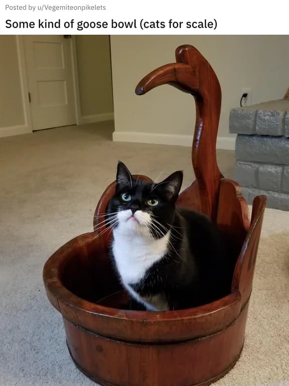 People Are Asking For Help Identifying Weird Objects They Found, And ...