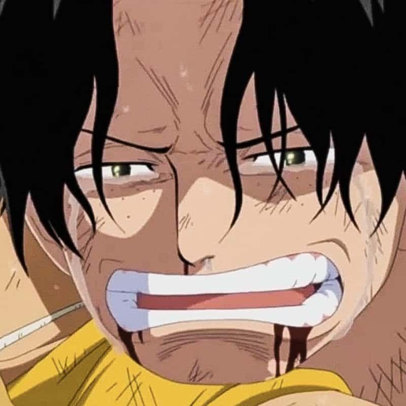 The 20 Saddest 'One Piece' Quotes That Will Break Your Heart, Ranked By ...