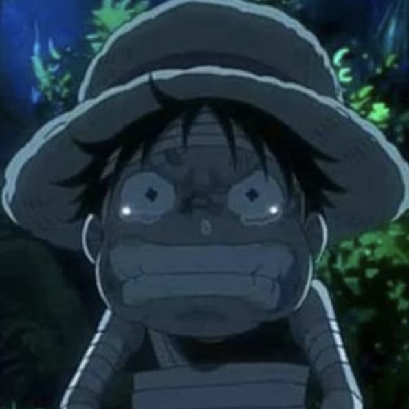The 20 Saddest 'One Piece' Quotes That Will Break Your Heart, Ranked By ...