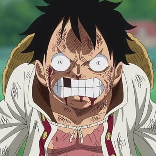 The 20 Saddest 'One Piece' Quotes That Will Break Your Heart, Ranked By ...