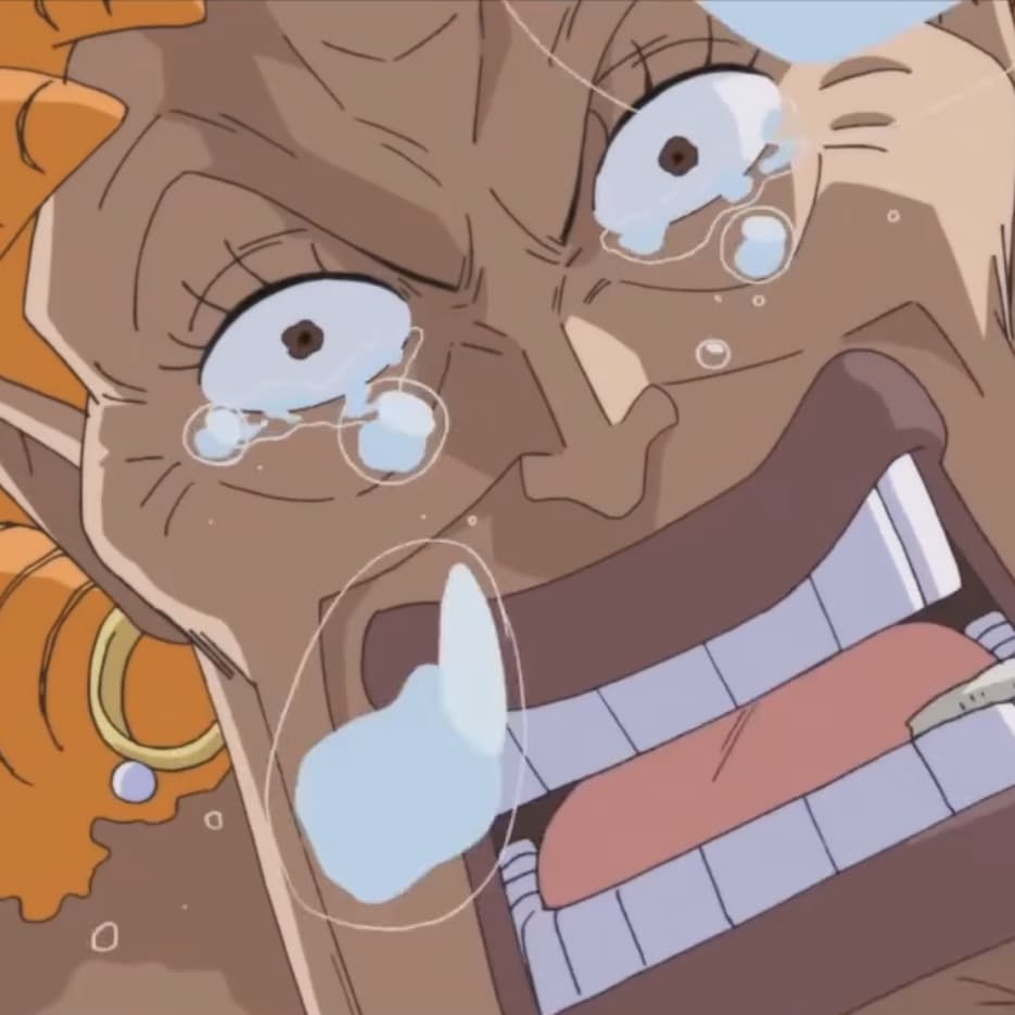 The 20 Saddest 'One Piece' Quotes That Will Break Your Heart, Ranked By ...