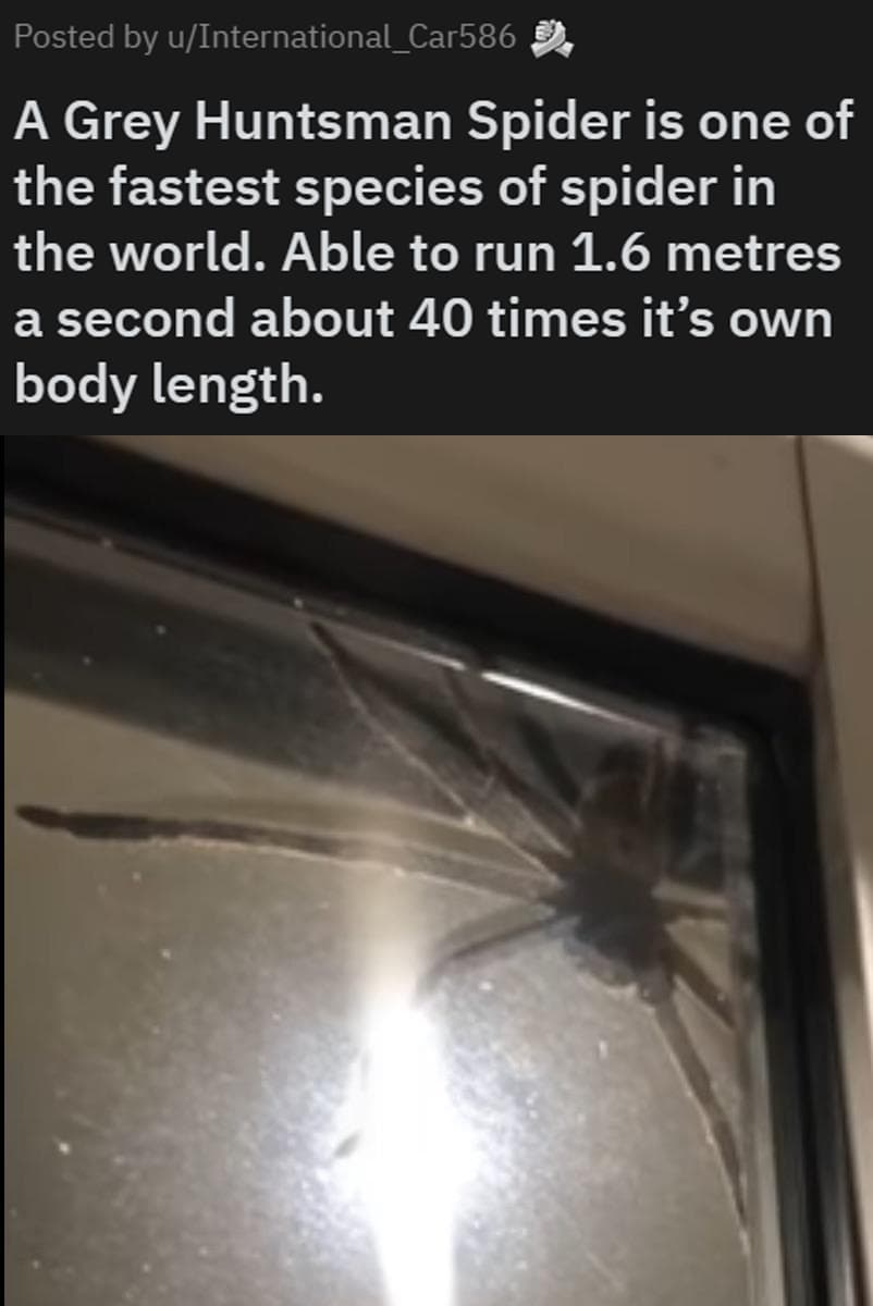 20 Weirdly Frightening Images That Made It Hard To Sleep This Week