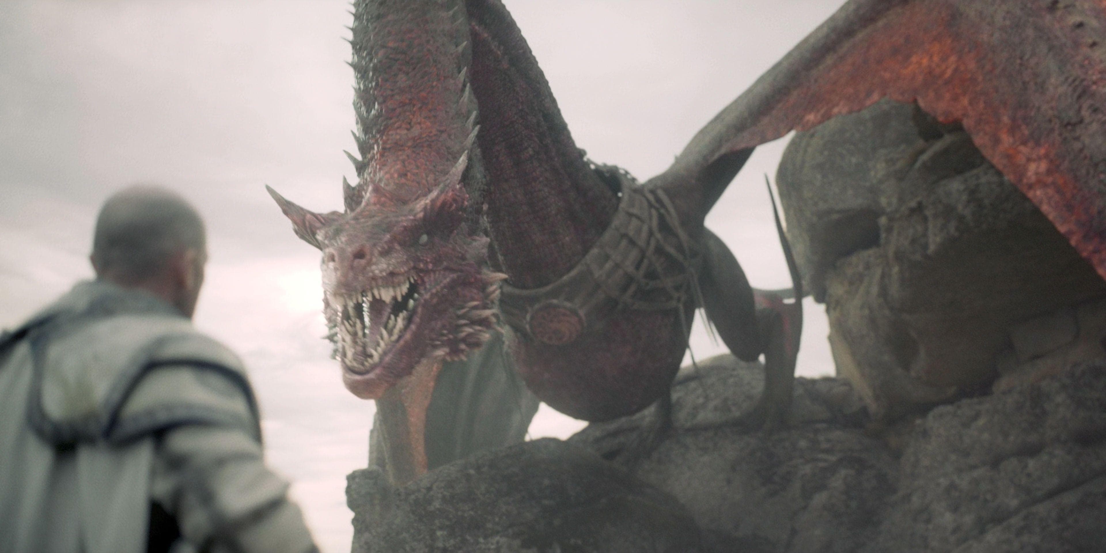 Every Dragon On 'House of the Dragon'