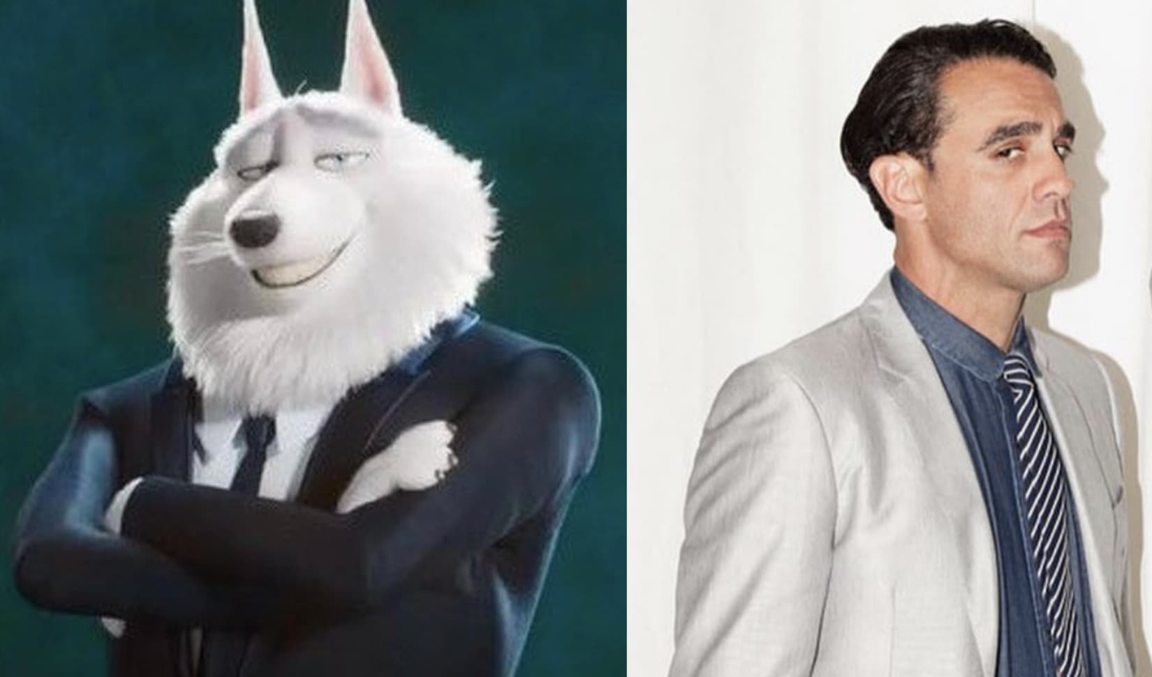 Here's Every Famous Voice Behind The 'Sing’ Movie Franchise