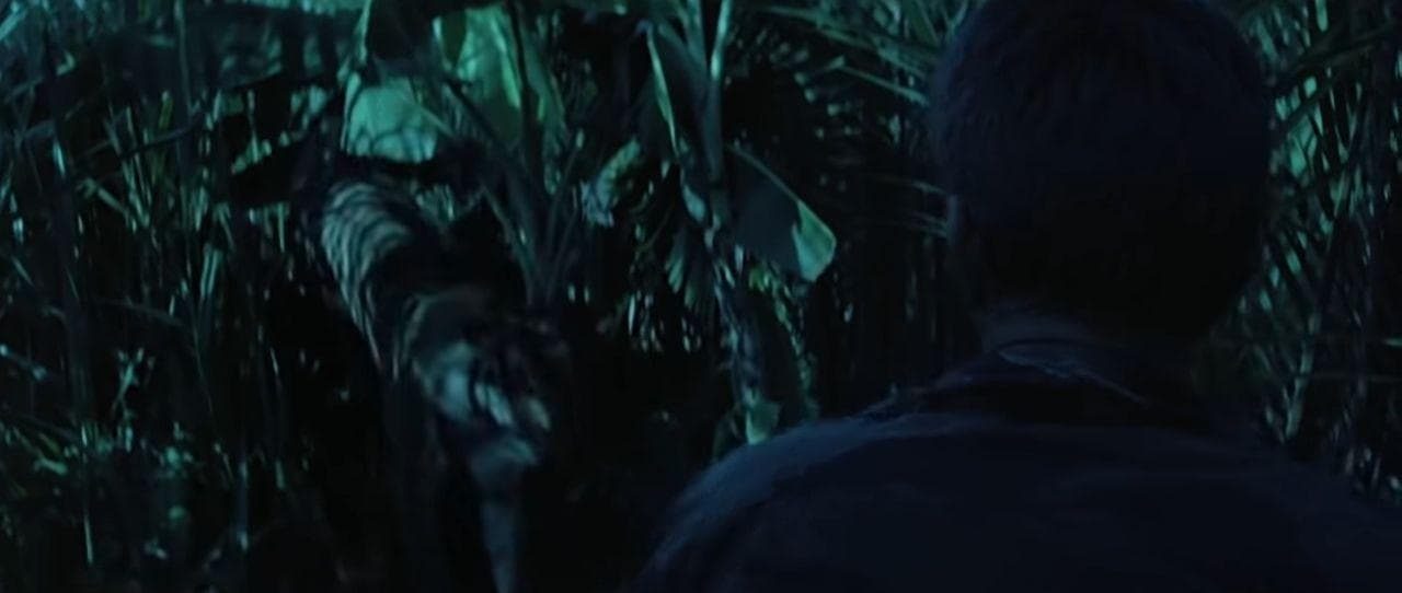 The Wildest Animal-Related Incidents On Movies