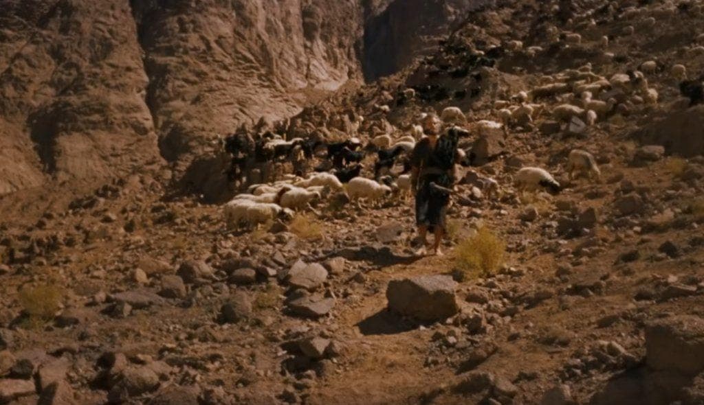 15 Historical Details That Ancient Civilization Movies Actually Get Right