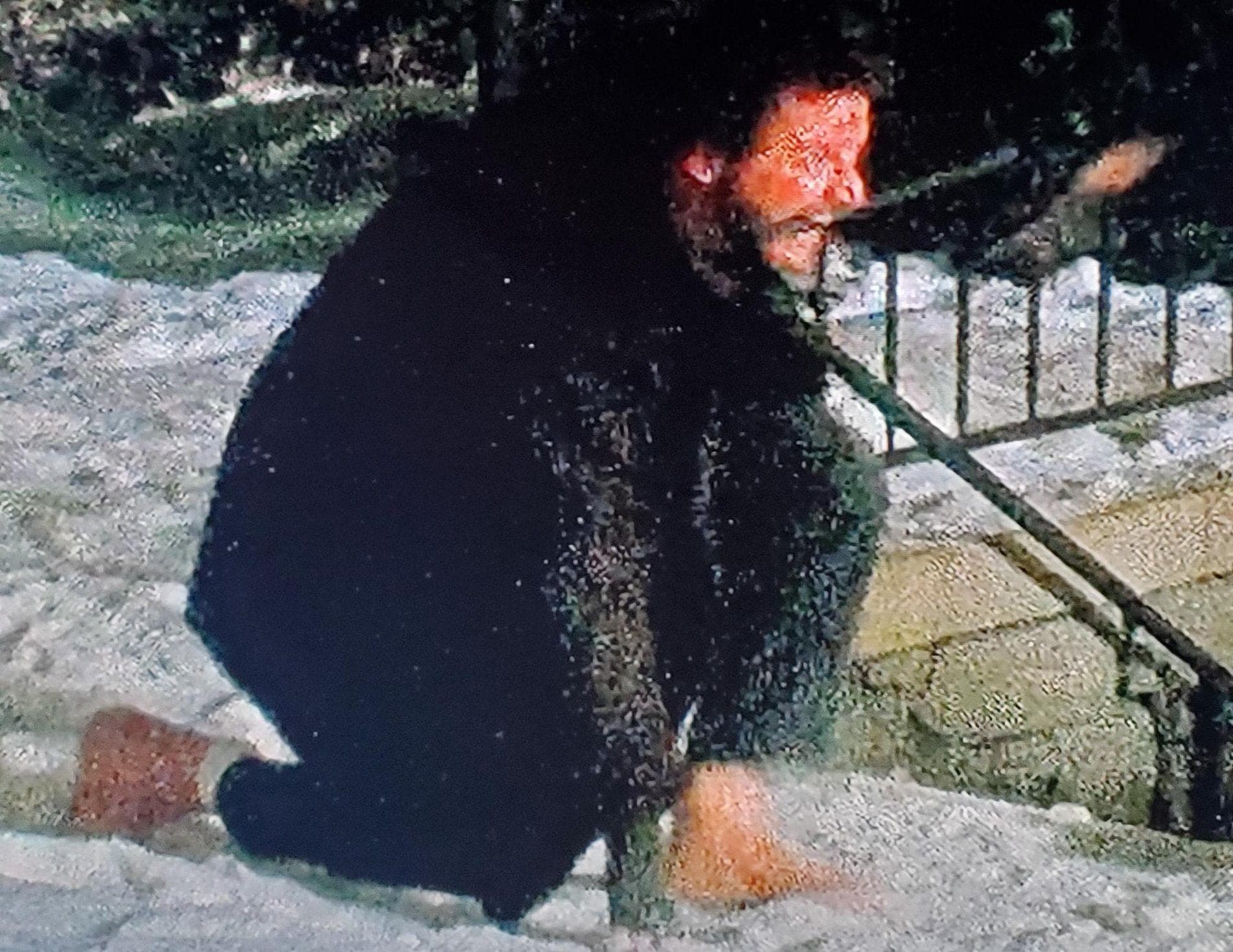 Small Details From The 'Home Alone' Movies That Enhance Even Our 100th Viewing