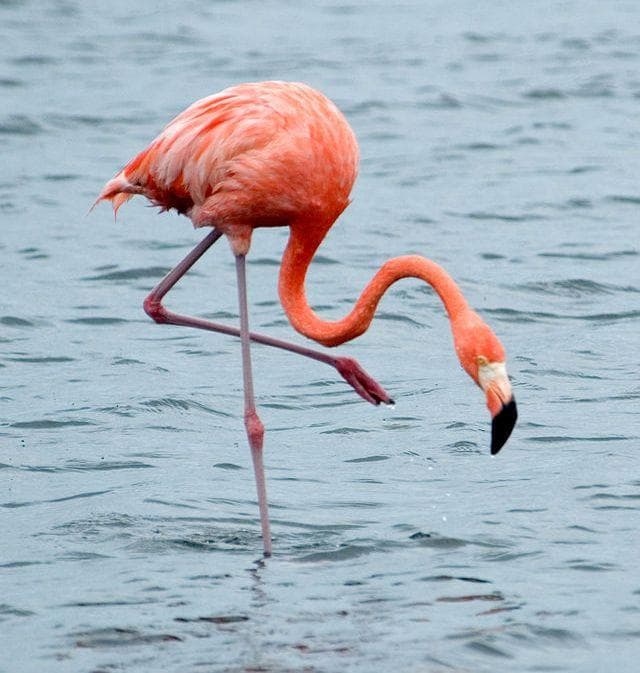 Ranker Readers Are Sharing The Funniest Jokes They Know And We Are ...