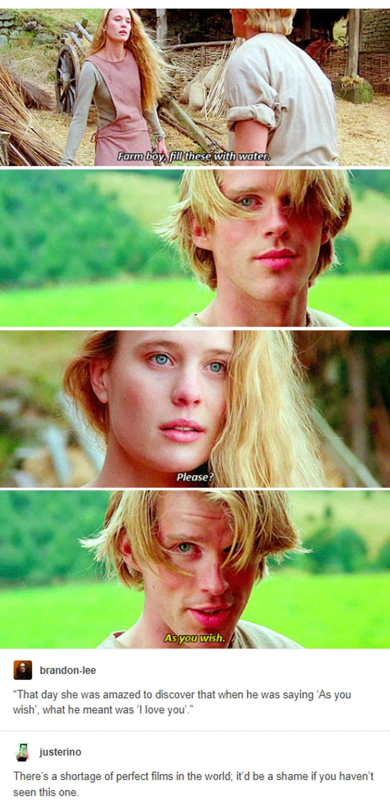 17 Posts About 'The Princess Bride' That Prove It’s Inconceivably Good