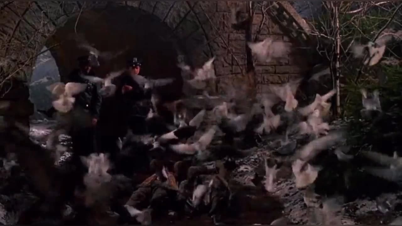 Small Details From The 'Home Alone' Movies That Enhance Even Our 100th Viewing