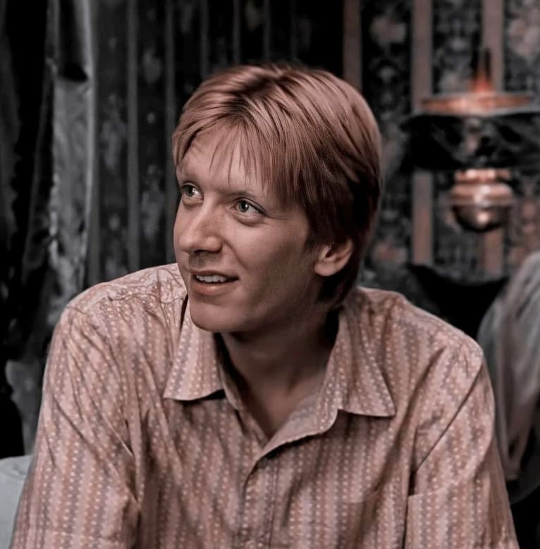 15 Heartbreaking 'Harry Potter' Fan Theories We Found In 2022