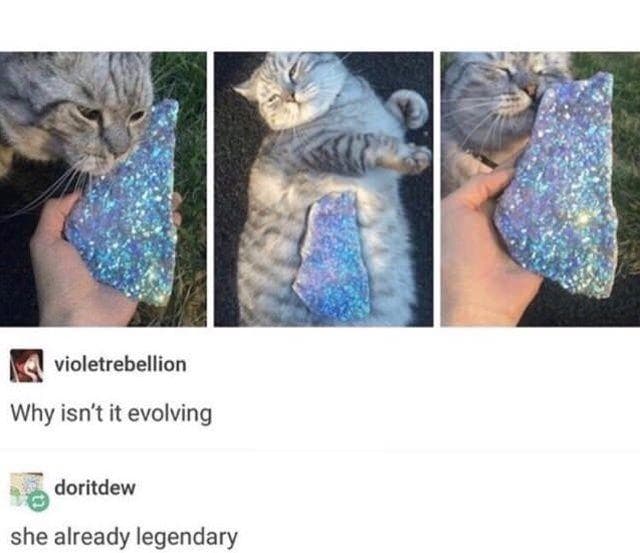 16 Random Tumblr Posts We Saw This Week That Were Way Too Funny