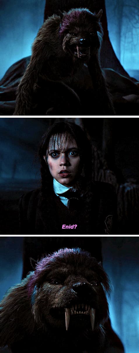 27 Wednesday And Enid Scenes That Emanate Black Cat And Golden ...