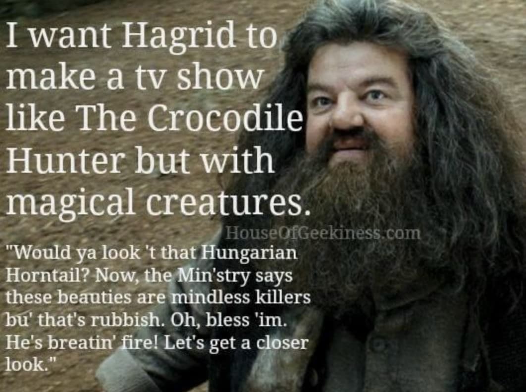 18 'Harry Potter' Memes That Muggles Thought Were The Best Of The Best ...