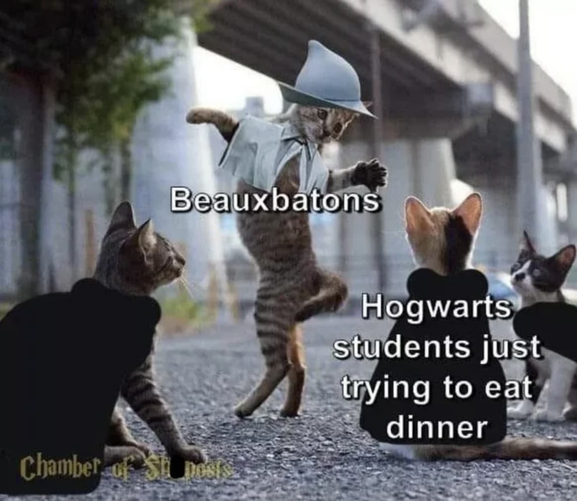 18 'Harry Potter' Memes That Muggles Thought Were The Best Of The Best ...