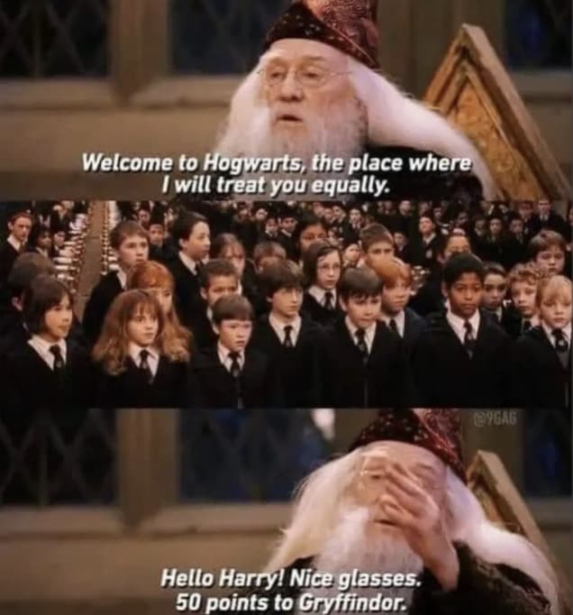 18 'Harry Potter' Memes That Muggles Thought Were The Best Of The Best ...