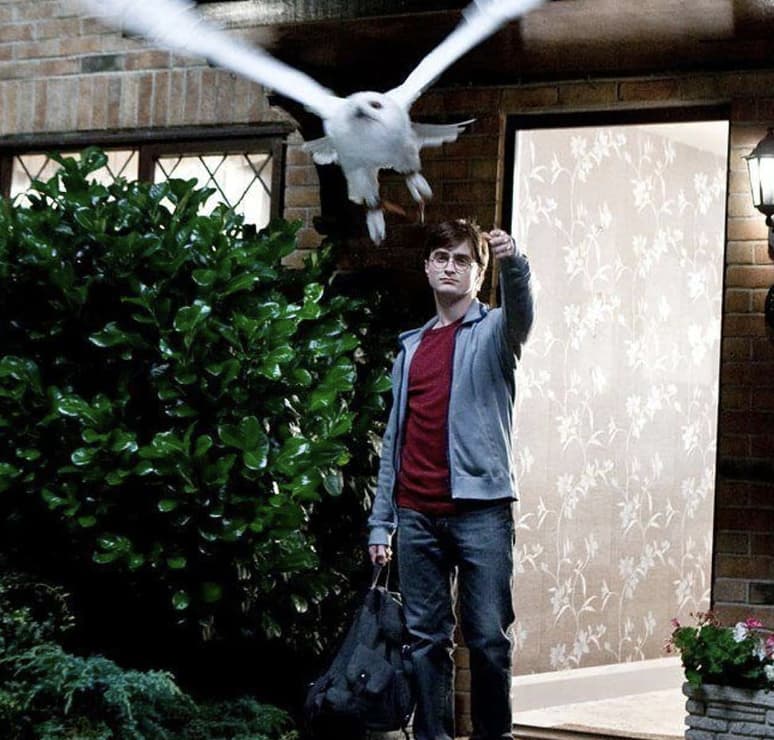 13 Heartbreaking Pieces Of 'Harry Potter' Lore We Learned In 2022