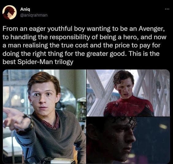 19 'Spider-Man' Posts From 2022 That Prove Three Peters Are Better Than One