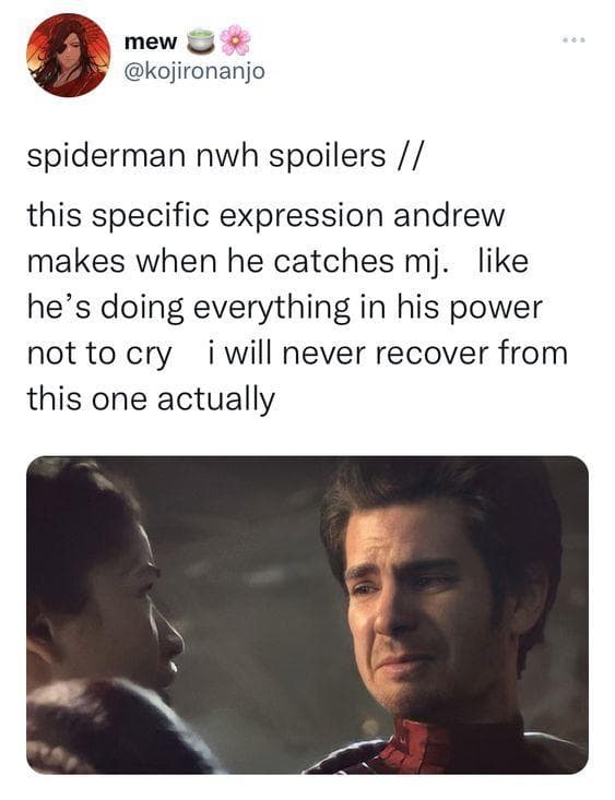 19 'Spider-Man' Posts From 2022 That Prove Three Peters Are Better Than One