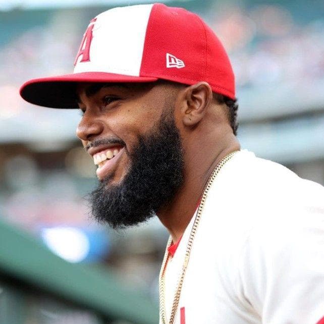 The Best Los Angeles Angels Of 2024, Ranked By Fans