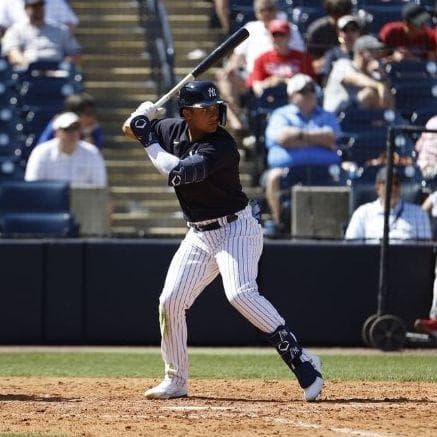 The Best New York Yankees Of 2024, Ranked By Fans