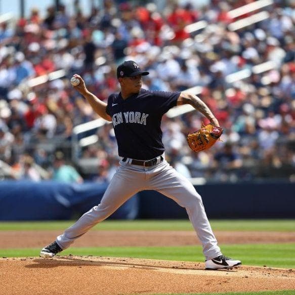 The Best New York Yankees Of 2025, Ranked By Fans