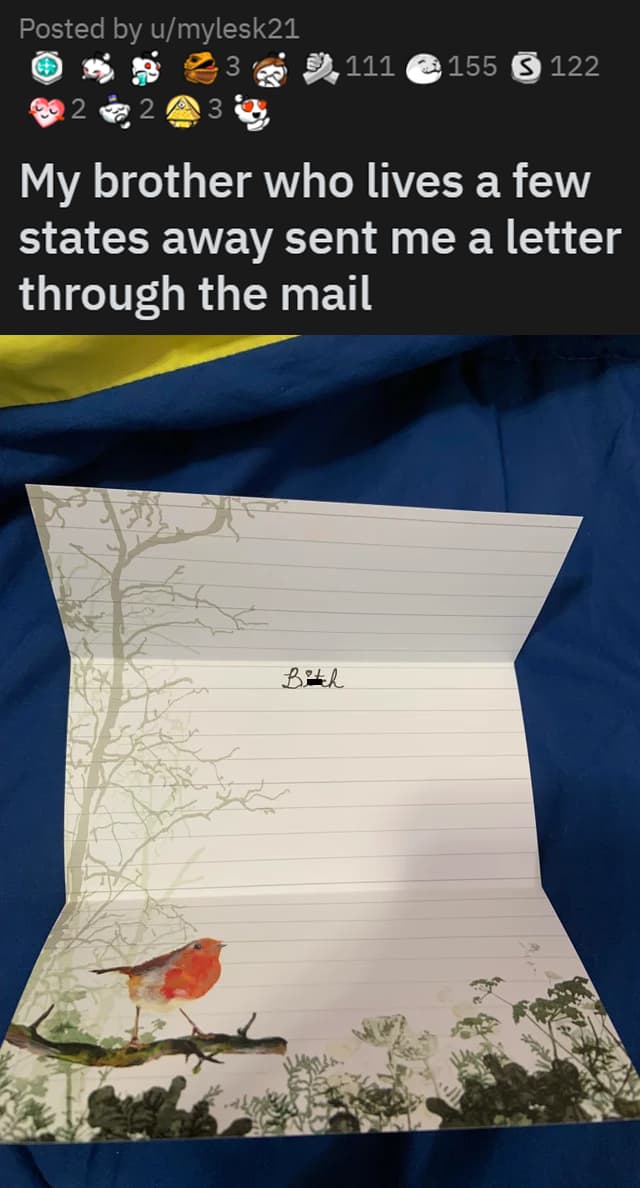 29 Hilarious Reddit Posts That Kept Us Smiling Throughout All Of 2022